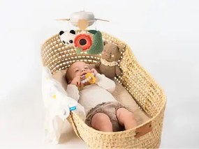 Taf Toys Sada hraček Newborn Luxe / od narození