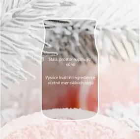 Yankee Candle White Spruce  Grapefruit votivní svíčka plněná ve skle 3