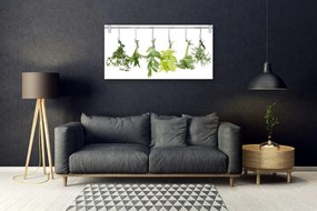 Obraz na skle Listy Příroda Byliny 120x60 cm