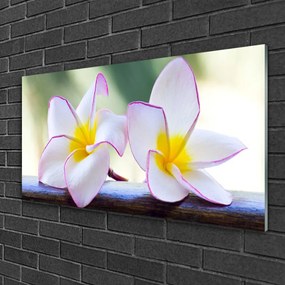Obraz na skle Květiny Plátky Plumérie 125x50 cm