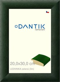 DANTIK rámeček 20x30 | LEDVINKA zelená (Sklo Čiré)
