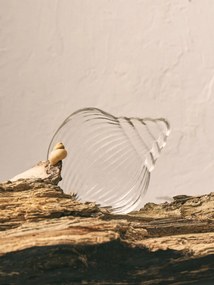 Sinsay - Dekorativní skleněný podnos ve tvaru mušle - clear