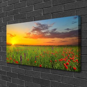 Obraz na plátně Slunce Louka Květiny Příroda 125x50 cm
