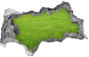 Wallmuralia Díra 3D ve zdi nálepka Zelená tráva 95x73 cm