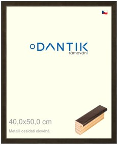 DANTIK rámeček 40x50 | Metalli oidati olověná (Plexi Čiré)