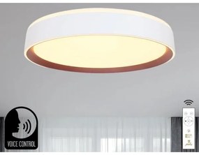 LED Stmívatelné stropní svítidlo s hlasovým ovládáním OPAL LED/48W/230V + DO