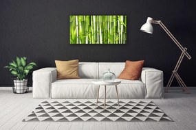 Obraz na plátně Bambusové Výhonky Listy Bambus 120x60 cm