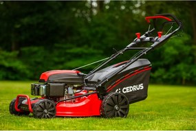 Hahn & Sohn Cedrus Sekačka benzínová KS53S s pojezdem HP16108