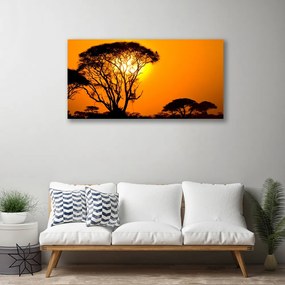 Obraz na plátně Strom Slunce Příroda 100x50 cm