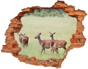 Wallmuralia Díra 3D fototapeta nálepka Srna s mladýma 90x70 cm