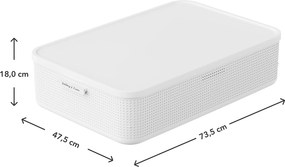 Rotho Úložný box do skříně s víkem a přihrádkou na levanduli, šatní organizér LISORA - XL, 73,5  × 47,5 × 18 cm