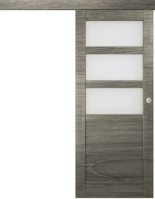 posuvné interiérové dveře na stěnu vasco doors BRAGA model 4 Průchozí rozměr: 70 x 197 cm, Orientace dveří: Levé dveře, Dekor: Dub stříbrný