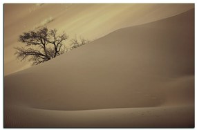 Obraz na plátně - Červené písečné duny 1133FA (60x40 cm)