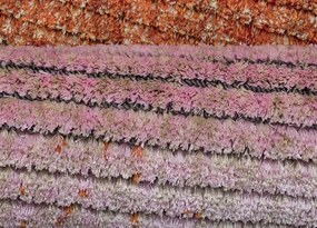Koberce Breno Kusový koberec XENON 823/CC8R, Červená, Vícebarevné, 133 x 190 cm
