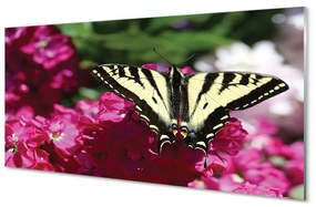 akrylový obraz květiny motýl 140x70 cm