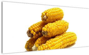 Kukuřice, obraz (100x40cm)