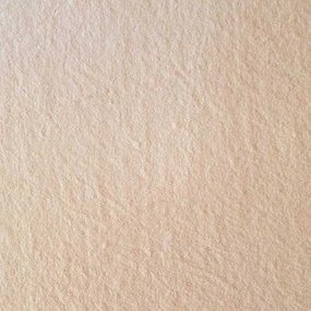 Polášek EXKLUSIVE MICRO Mikroplyšové prostěradlo Šampáňo Polyester, 180/200 cm