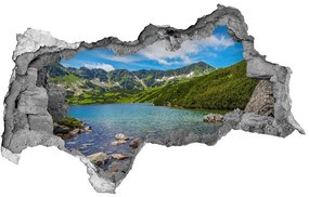Wallmuralia Díra 3D ve zdi nálepka Údolí Tatry 95x73 cm