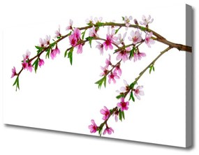 Obraz na plátně Větev Květ Příroda 120x60 cm