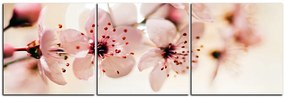 Obraz na plátně - Malé květy na větvi - panoráma 5173B (90x30 cm)