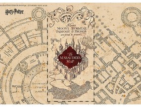 Dětská fototapeta Harry Potter Marauders Map 252 x 182 cm, 4 díly