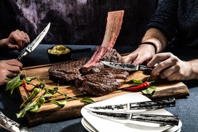 Ručně vyráběné nože z oceli Forged | Sun System 4 steakové nože Intense