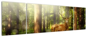 Obraz jelena v lese (170x50 cm)