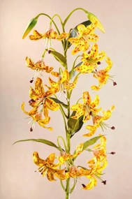Paramit Umělá mini lilie žlutá 82 cm