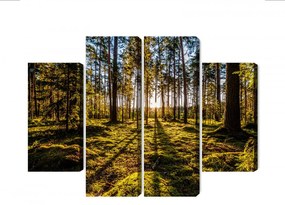 Vícedílný obraz Ranní Sluneční Paprsky V Lese Nedostatek Nedostatek Plátno Canvas 200x150