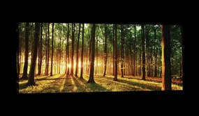Postershop Obraz na plátně: Západ slunce v lese - 145x45 cm