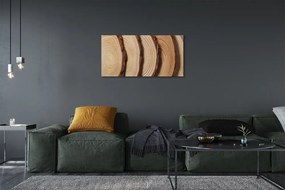Obrazy na plátně plátky obilí dřeva 120x60 cm