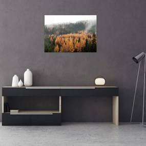 Skleněný obraz - Podzimní les (70x50 cm)