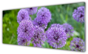 Plexisklo-obraz Fialové Květiny Louka 125x50 cm