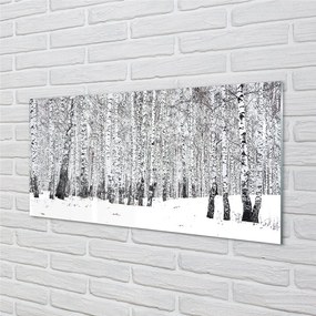 Obraz na skle Zimní břízy 125x50 cm