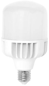 LED Žárovka E40/50W/230V 5000K - Ecolite