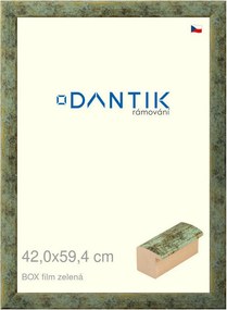DANTIK rámeček 42x59,4 | BOX filmzelená (Plexi Čiré)