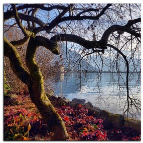 Obraz na plátně - Podzim u jezera - čtverec 3198A (50x50 cm)