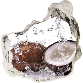 Wallmuralia Nálepka 3D díra Kokos a voda 75x75 cm