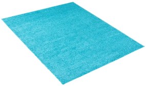 Exkluzivní kusový koberec SHAGGY PORTE-T TK0000 - 140x200 cm