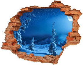 Wallmuralia Díra 3D ve zdi nálepka Světlo měsíce 90x70 cm
