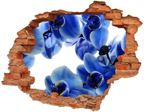 Wallmuralia Fototapeta nálepka na zeď Modrá orchidej 90x70 cm