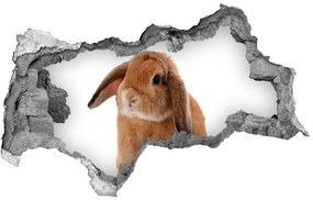 Wallmuralia Díra 3D fototapeta nálepka Červený králík 95x73 cm