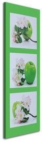 Obraz na plátně Jablko Ovoce Zelený květ - 50x150 cm