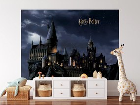 Dětská fototapeta na zed' Harry Potter Výhled na Bradavice | 252 x 182 cm | DFTDXL1965