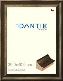 DANTIK rámeček 30x40 | Ferrosa bronzová (Plexi Čiré)