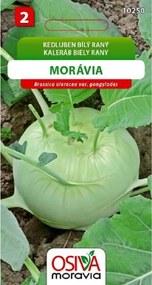 Semínka Kedluben bílý raný Morávia (Brassica oleracea var. gongylodes)