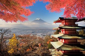 Samolepící fototapeta podzim v Japonsku - 375x250 cm
