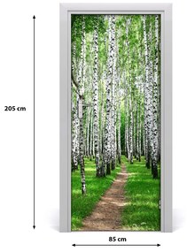 Fototapeta na dveře břízový les 85x205 cm