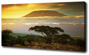 Wallmuralia Foto obraz na plátně Kilimanjaro Kenya 100x50