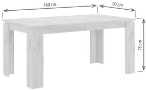 Rozkládací jídelní stůl Titan 160x90 cm, dub nox